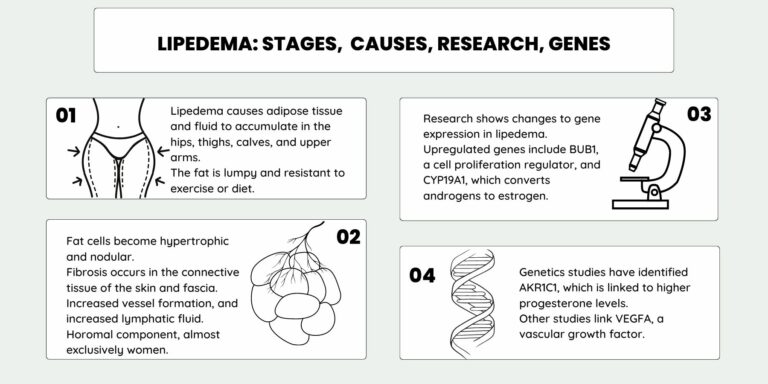 Lipedema: Genes, Root Causes, Possible Solutions