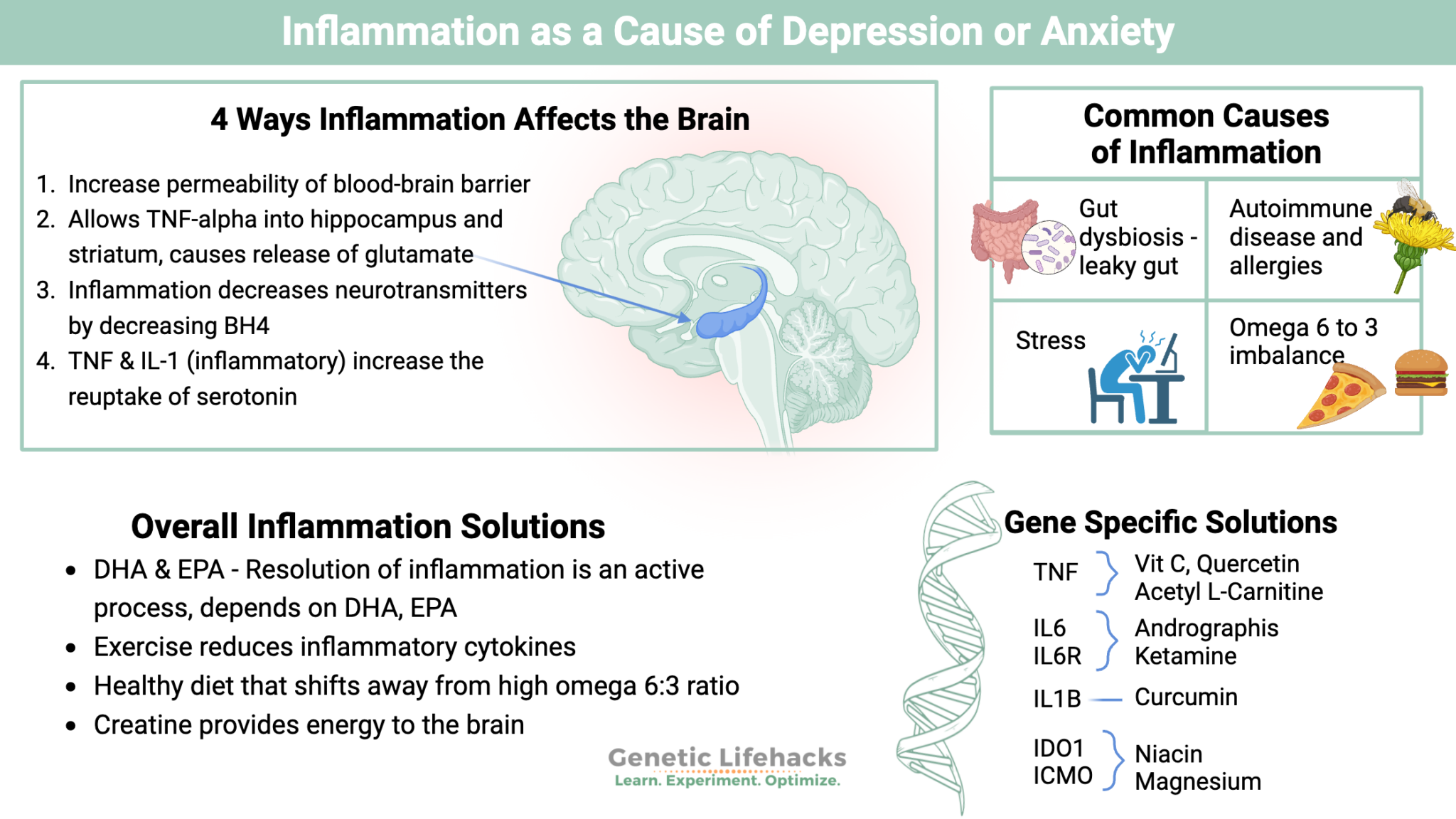 Is Inflammation Causing Your Depression and Anxiety? The Science Behind ...