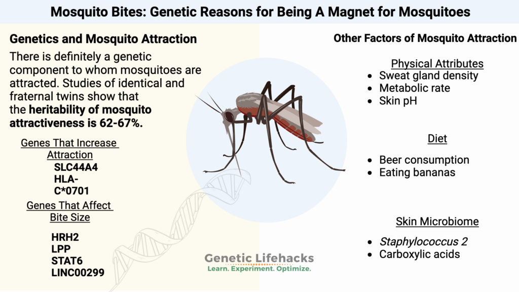 Mosquito Bite Genes: Are you a mosquito magnet?