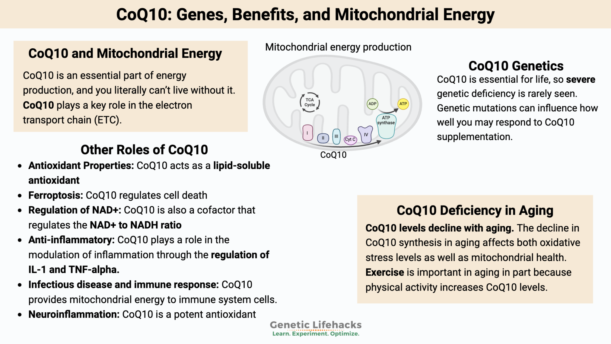 CoQ10: Genes, Benefits, and Mitochondrial Energy