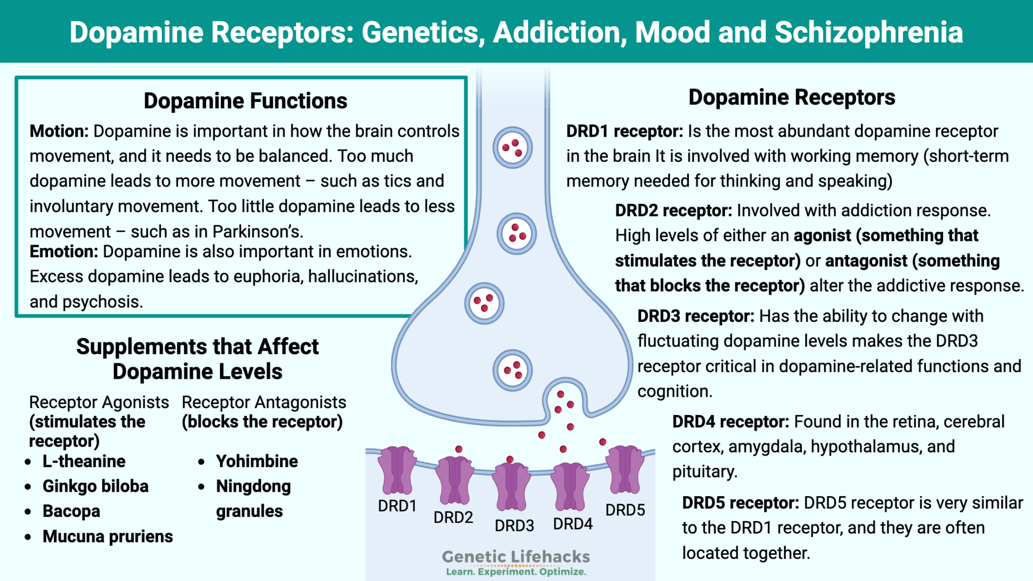 Dopamine Receptor SNPs: Addiction, Mood, ADHD, and Schizophrenia