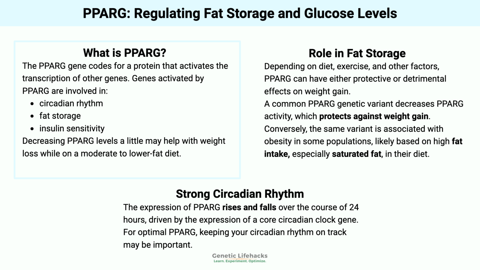 PPARG: Regulating Fat Storage and Glucose Levels