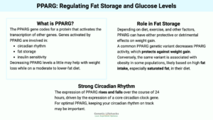 PPARG: Regulating Fat Storage and Glucose Levels