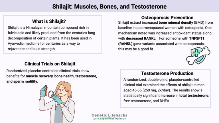 Shilajit: Muscles, Bones, and Testosterone