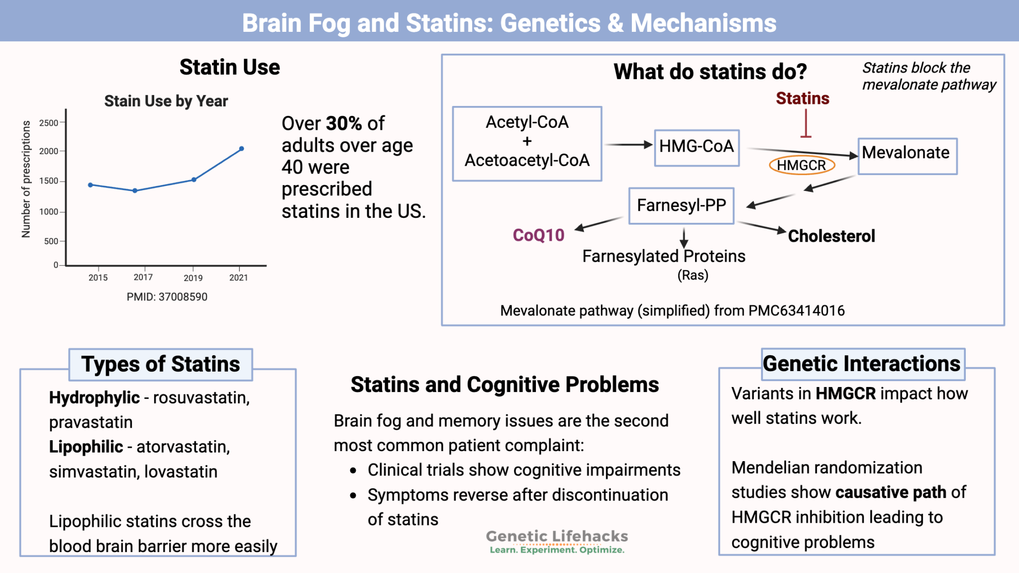 Statins and Brain Fog: Exploring how statins impact memory and cognitive function