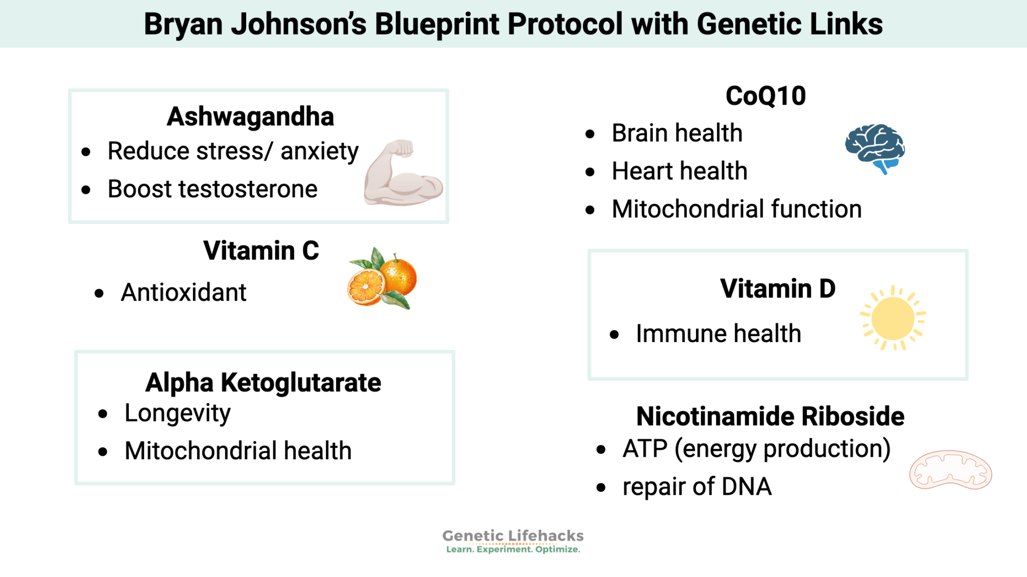 Bryan Johnson's Blueprint Protocol with Genetic Links