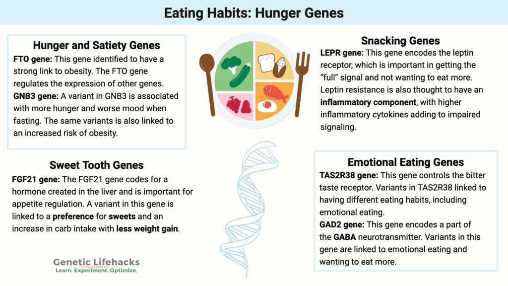 Eating Habits: Snacking and Hunger