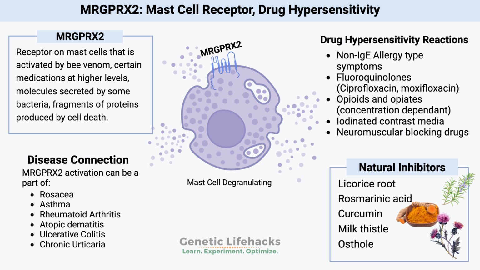 Inflammation and Immune Response