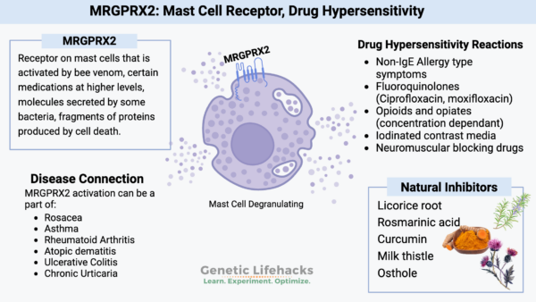 MRGPRX2: Mast Cells, Itching, & Drug Hypersensitivity Reactions ...