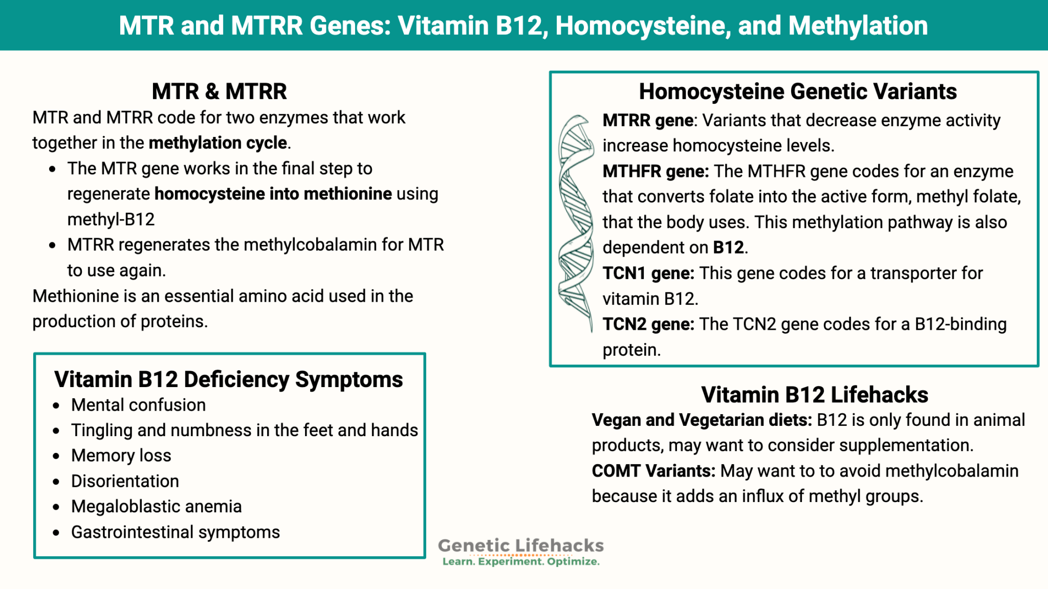 Genetic Lifehacks: Understand your genes.