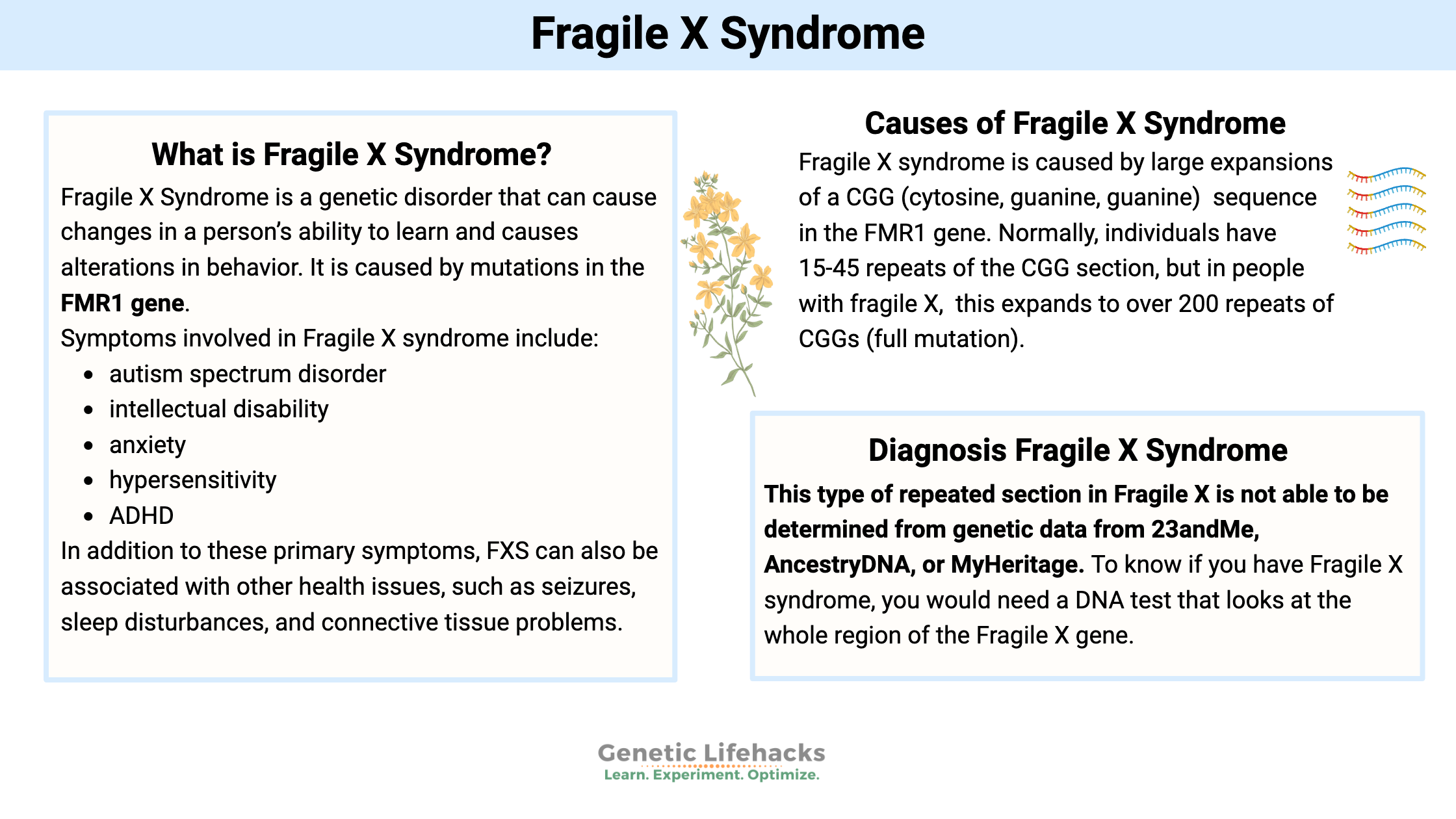 Fragile X Syndrome