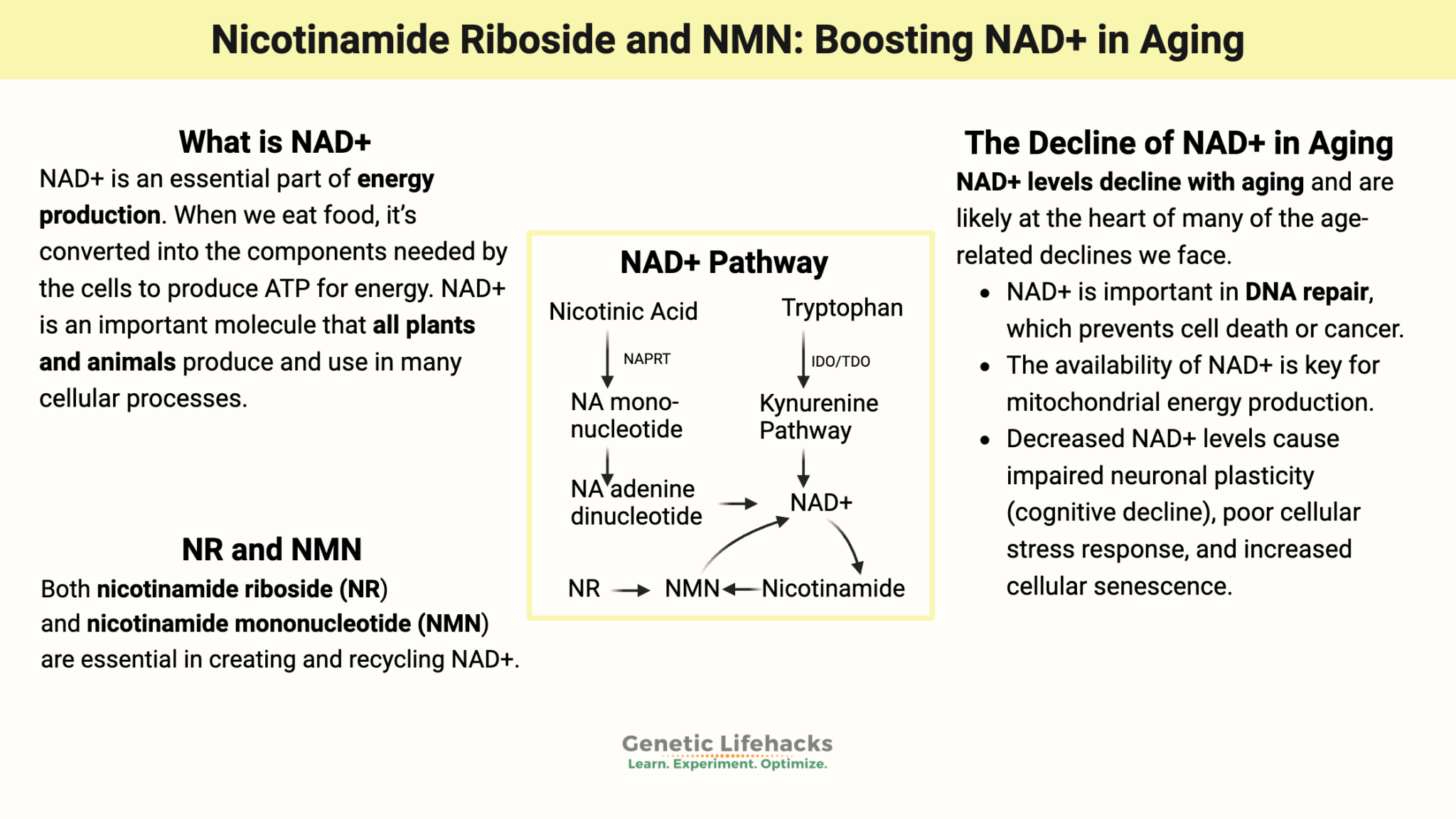 Supplements with Genetic Connections