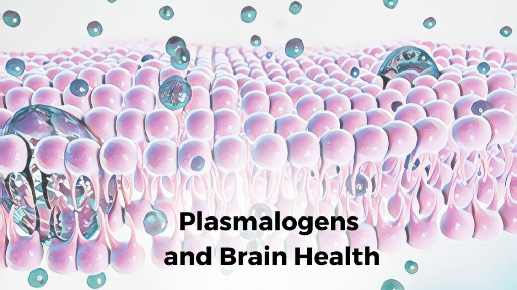 Plasmalogens: Healthy Brain Aging and More