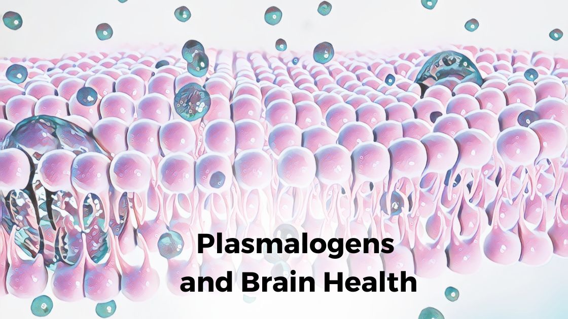 Plasmalogens: Healthy Brain Aging and More