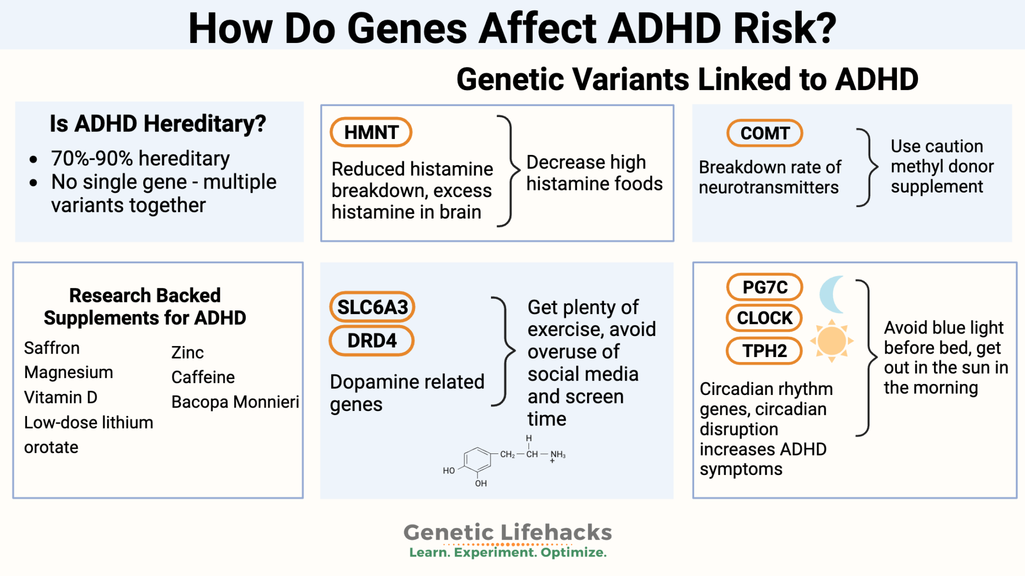 ADHD: Causes, Neurochemistry, and How to Check Your Genetic Raw Data