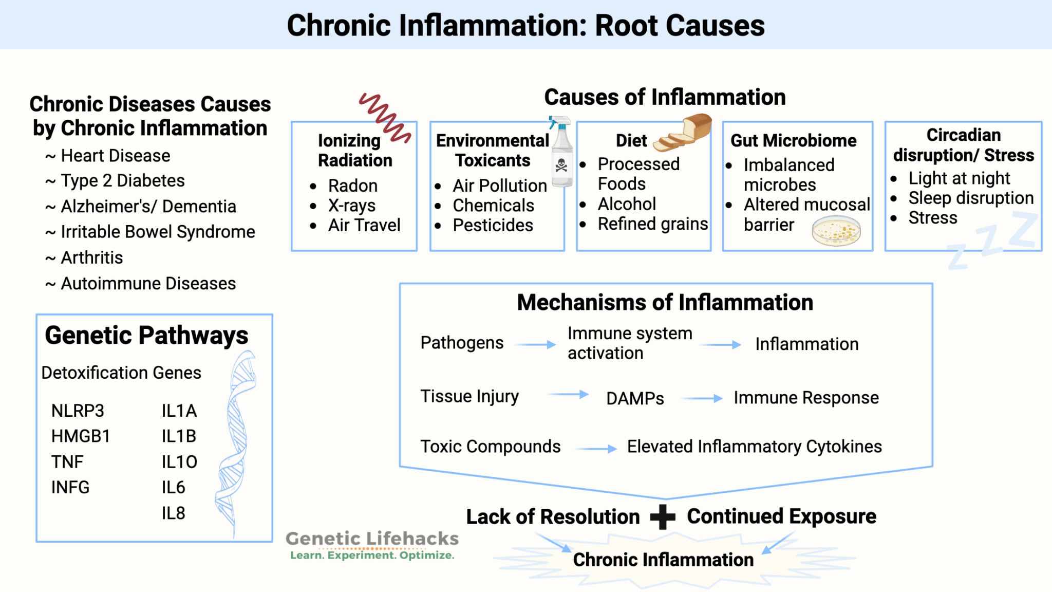Inflammation and Immune Response