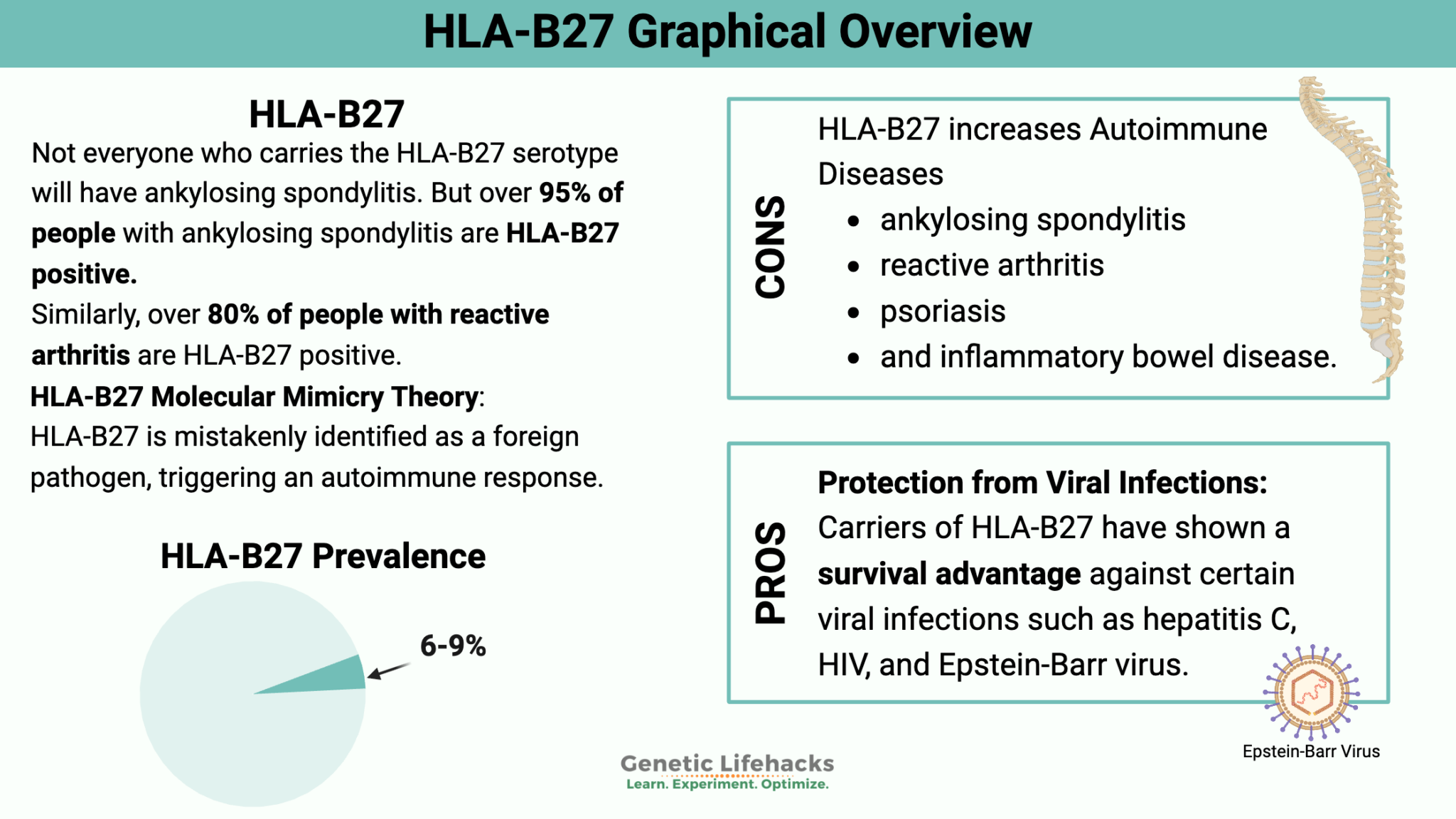 HLA-B27: Genetic Variant That Increases Susceptibility to Autoimmune Diseases