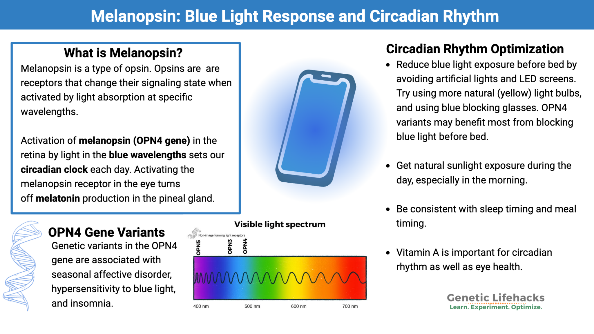 Sleep & Circadian Rhythm