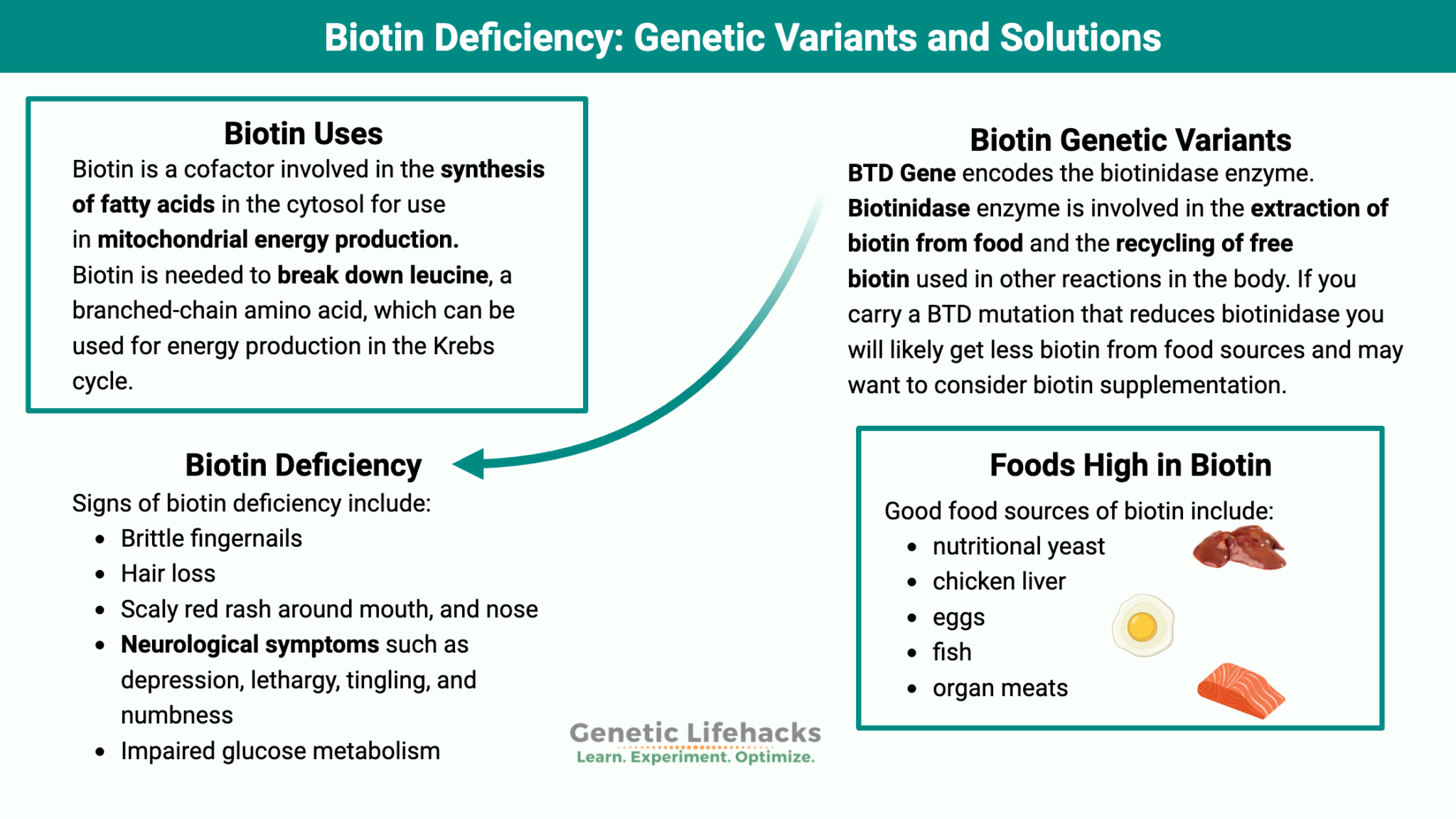 Biotin Deficiency: Genetic Reasons and Solutions