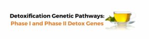 Detoxification: Phase I and Phase II Detox Genes - Genetic Lifehacks