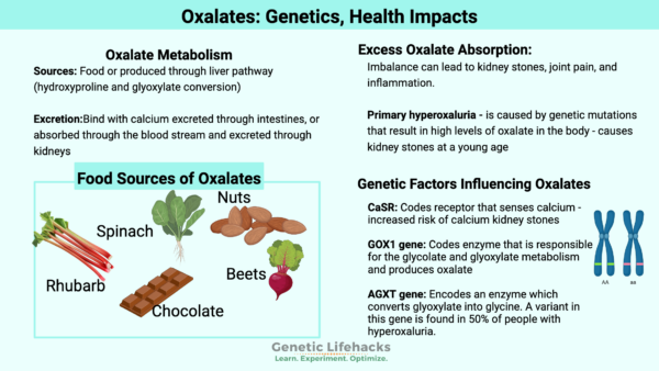 Genes that cause high oxalates