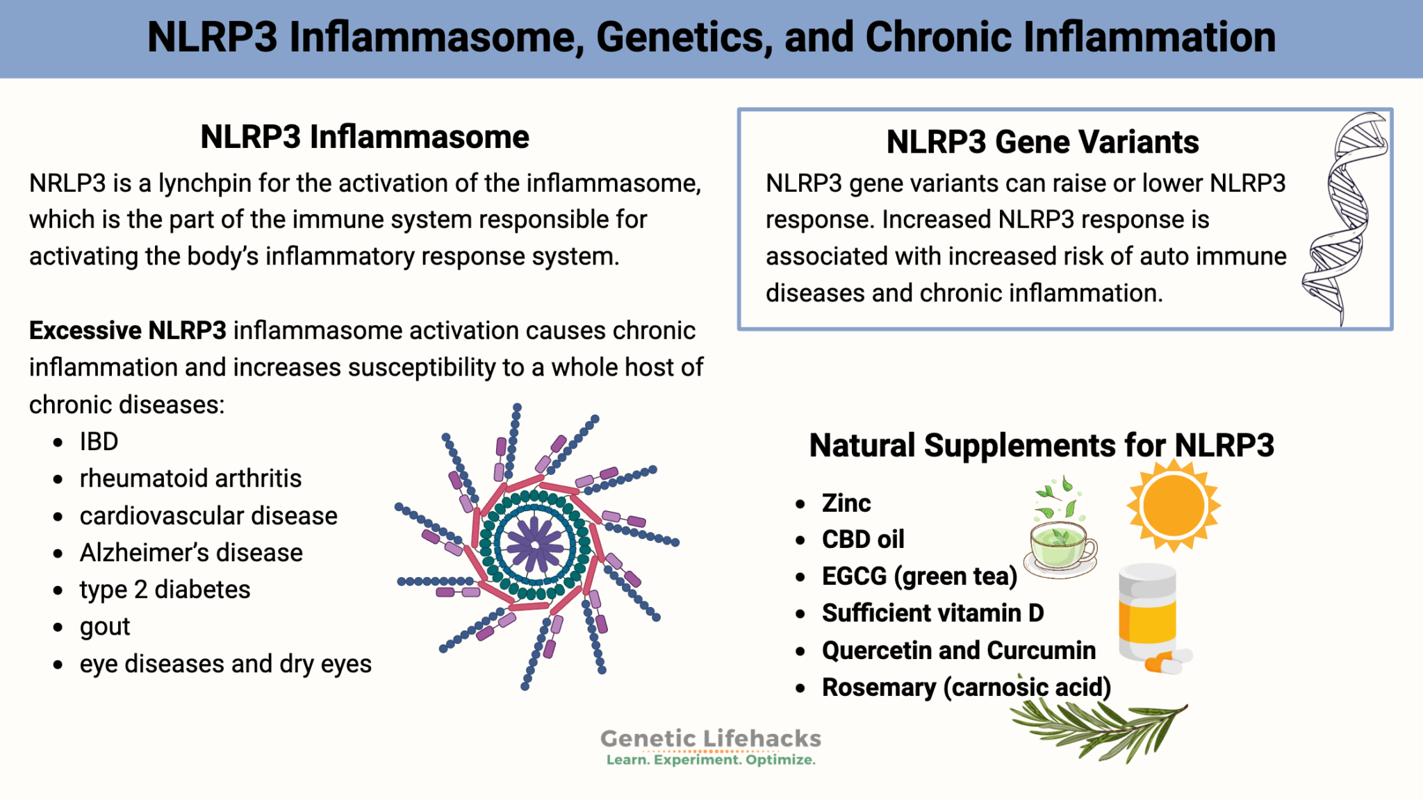 Inflammation and Immune Response