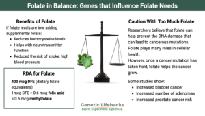 Folate Intake: How Much Is Too Much for Optimal Health?