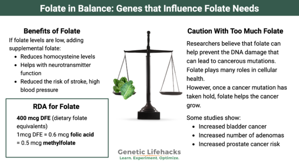 Folate Intake: How Much Is Too Much for Optimal Health?