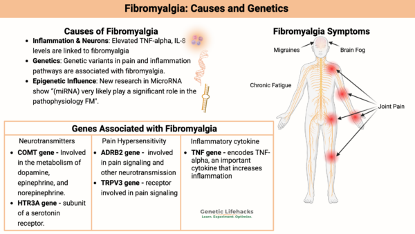 Inflammation and Immune Response
