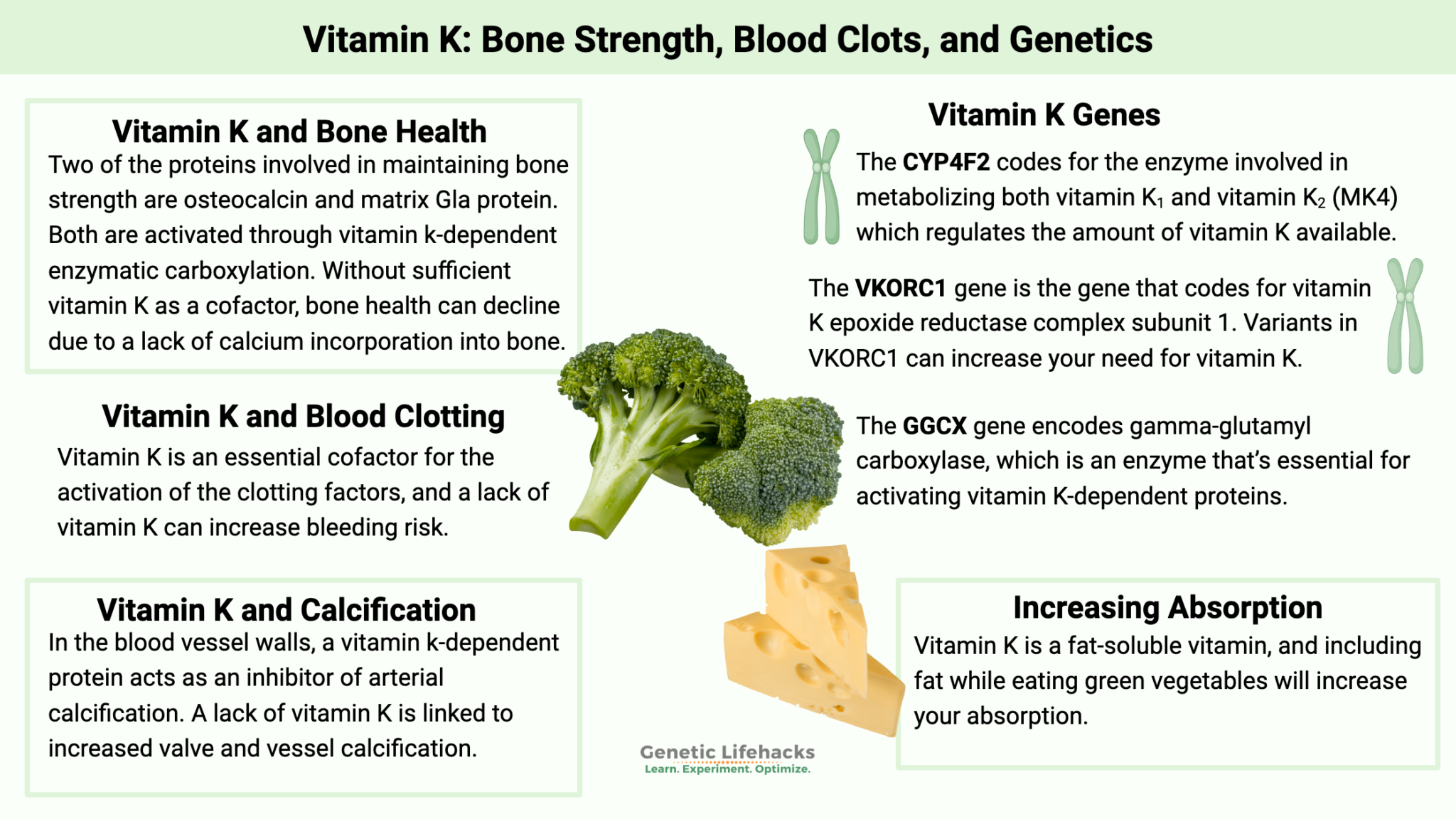 Vitamin K: Bone Strength, Blood Clots, Calcification, and Genetics