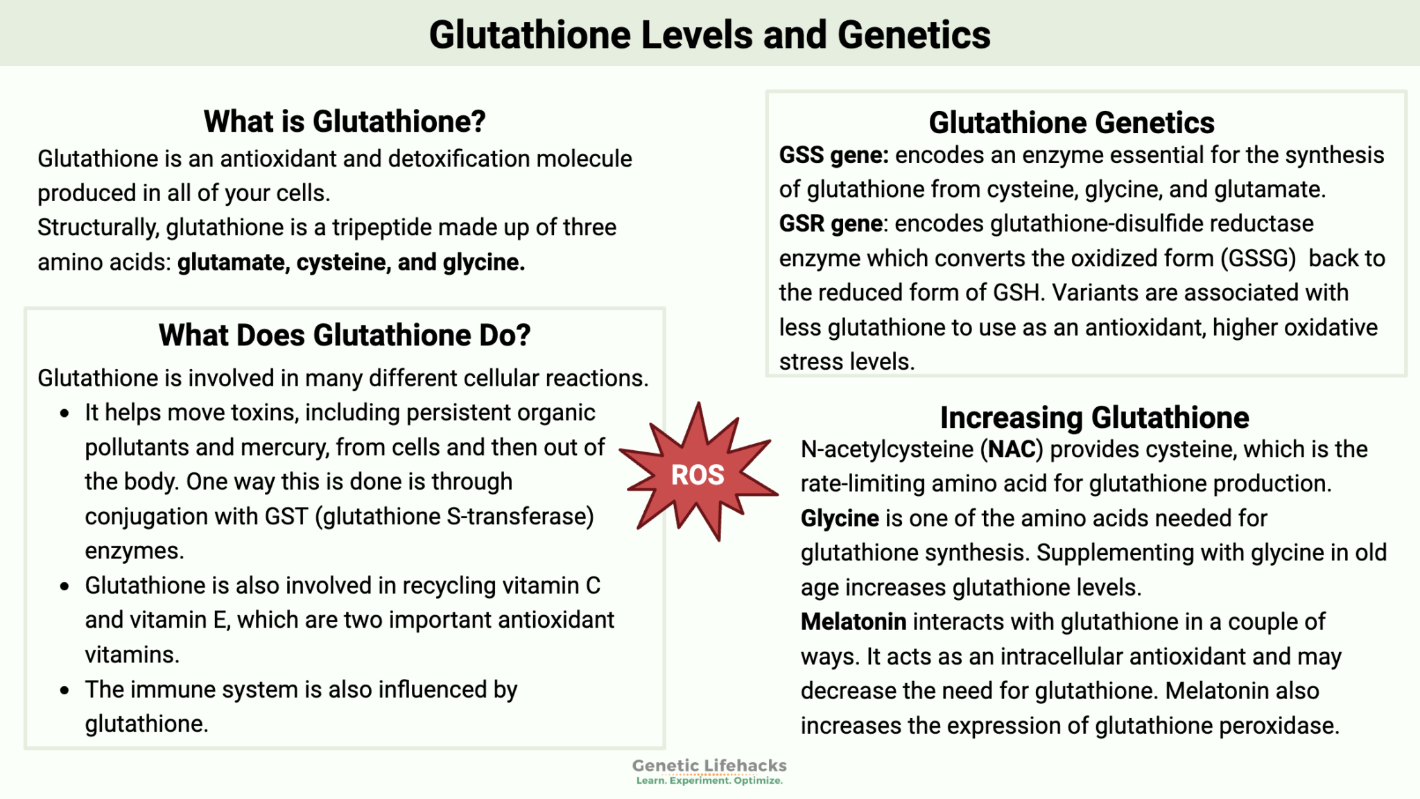 Glutathione: Master Antioxidant, Reducing Oxidative Stress, and ...