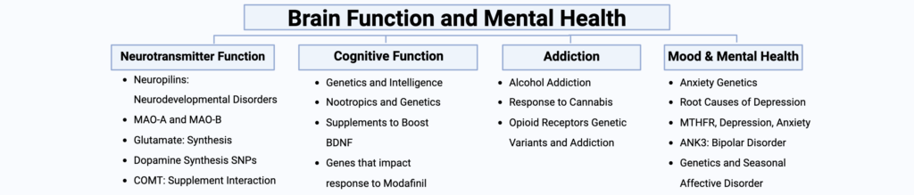 Brain Function and Mental Health