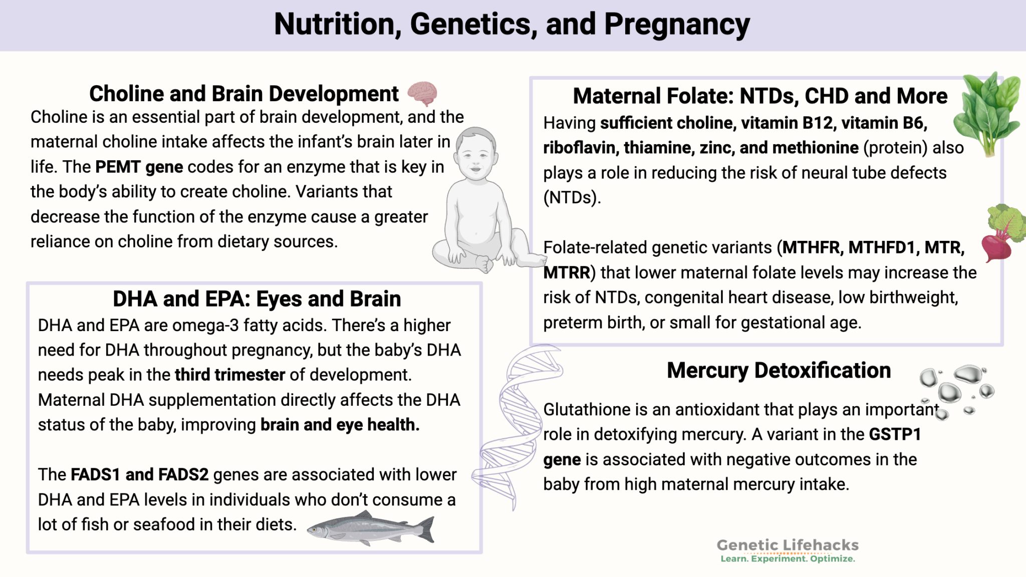 Pregnancy: How Your Genes affect the Nutrients You Need