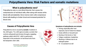 Polycythemia Vera: Understanding Inherited and Somatic Mutations behind ...