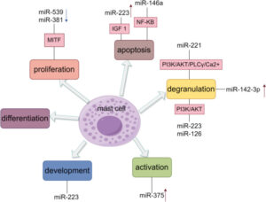 Mast Cells: MCAS, Genetics, and Solutions