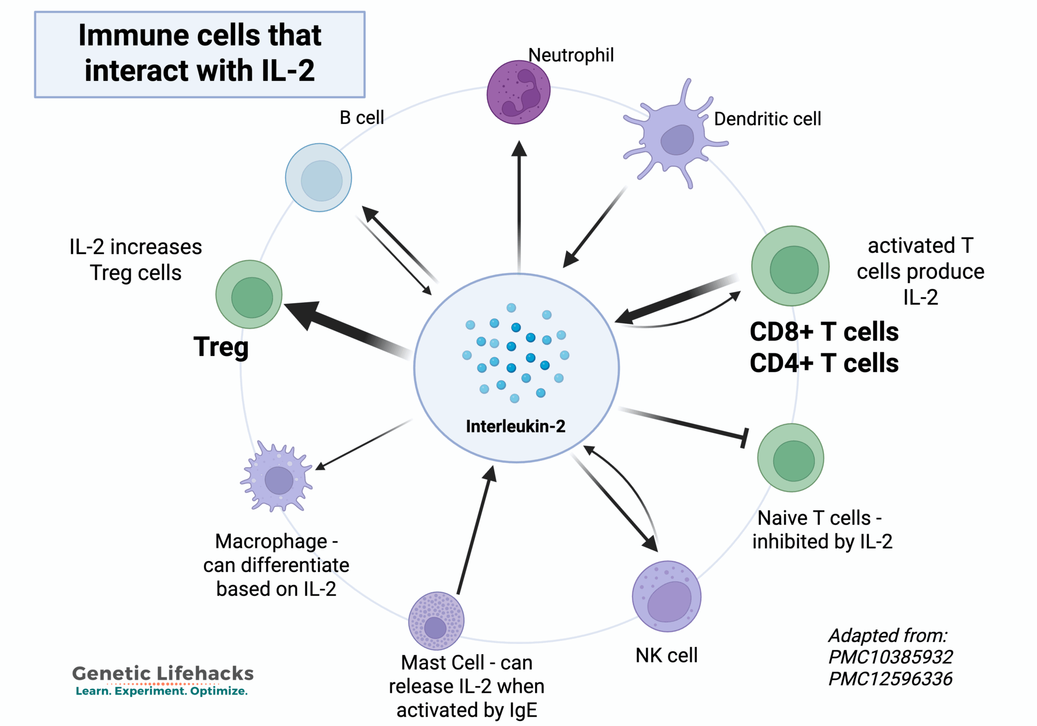 IL-2 Genetics and Immune Balance